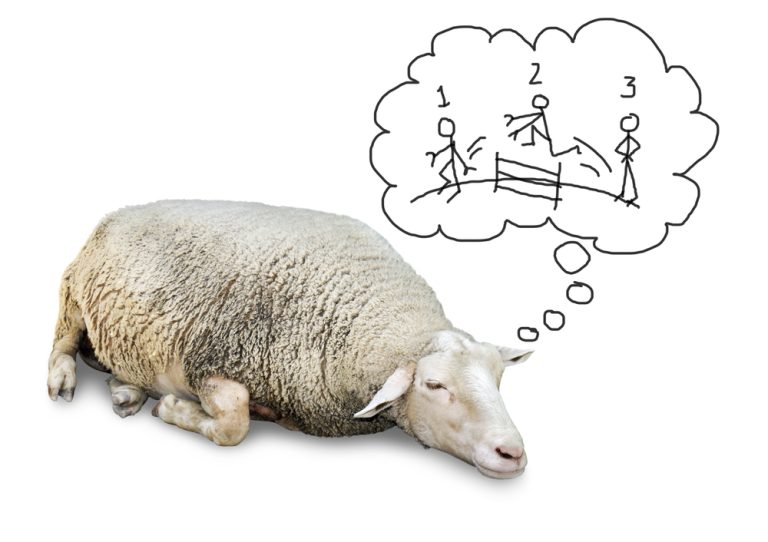 Bored Of Counting Sheep The Midphase Blog