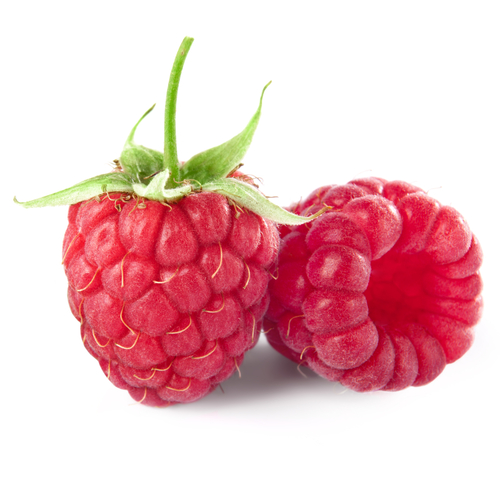 Pidora For Raspberry Pi Features And Specifications Blog Cloud Server And Hosting News Vpsnet 
